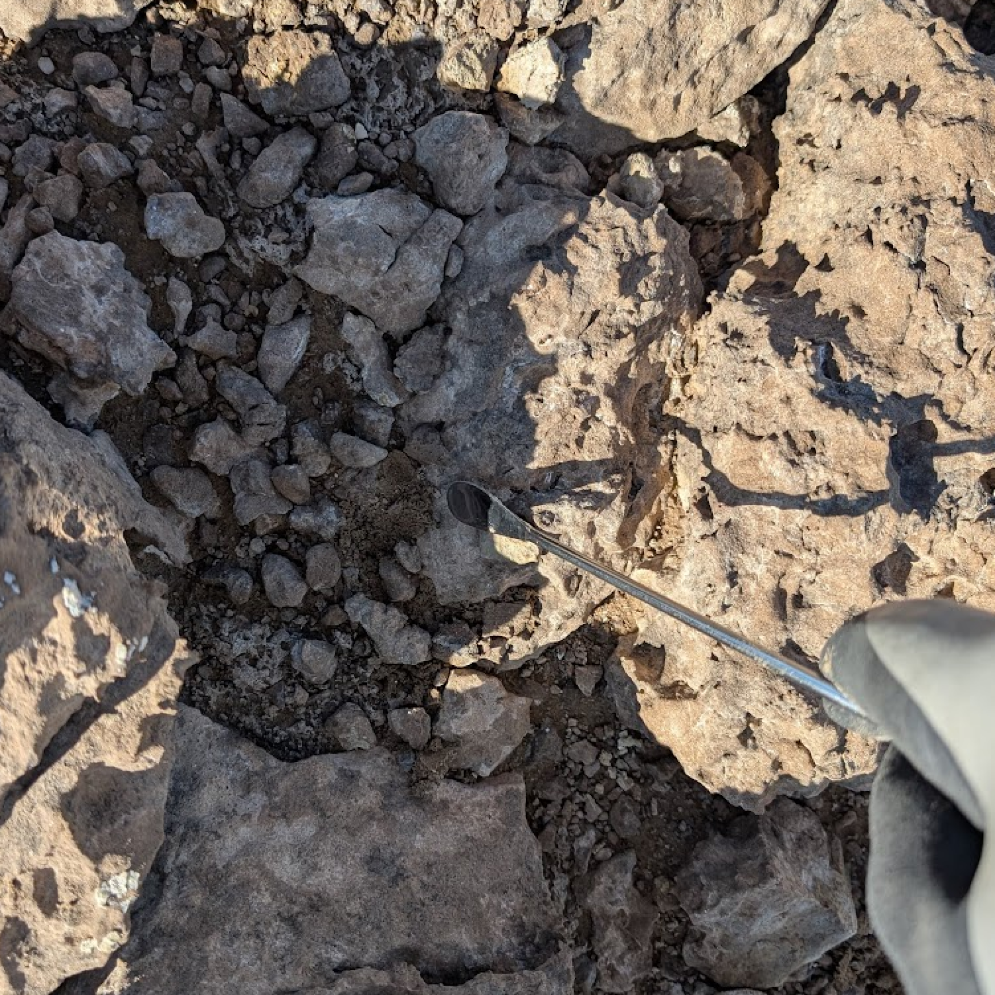 Amaruq (Crew 18) Sol 5 Report 28-7-2025 – Flashline Station